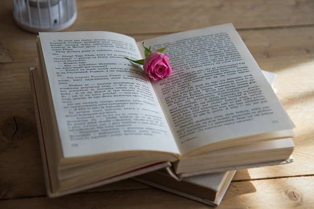 French Novels For Beginners To Boost Your French EFrench Tuition Online